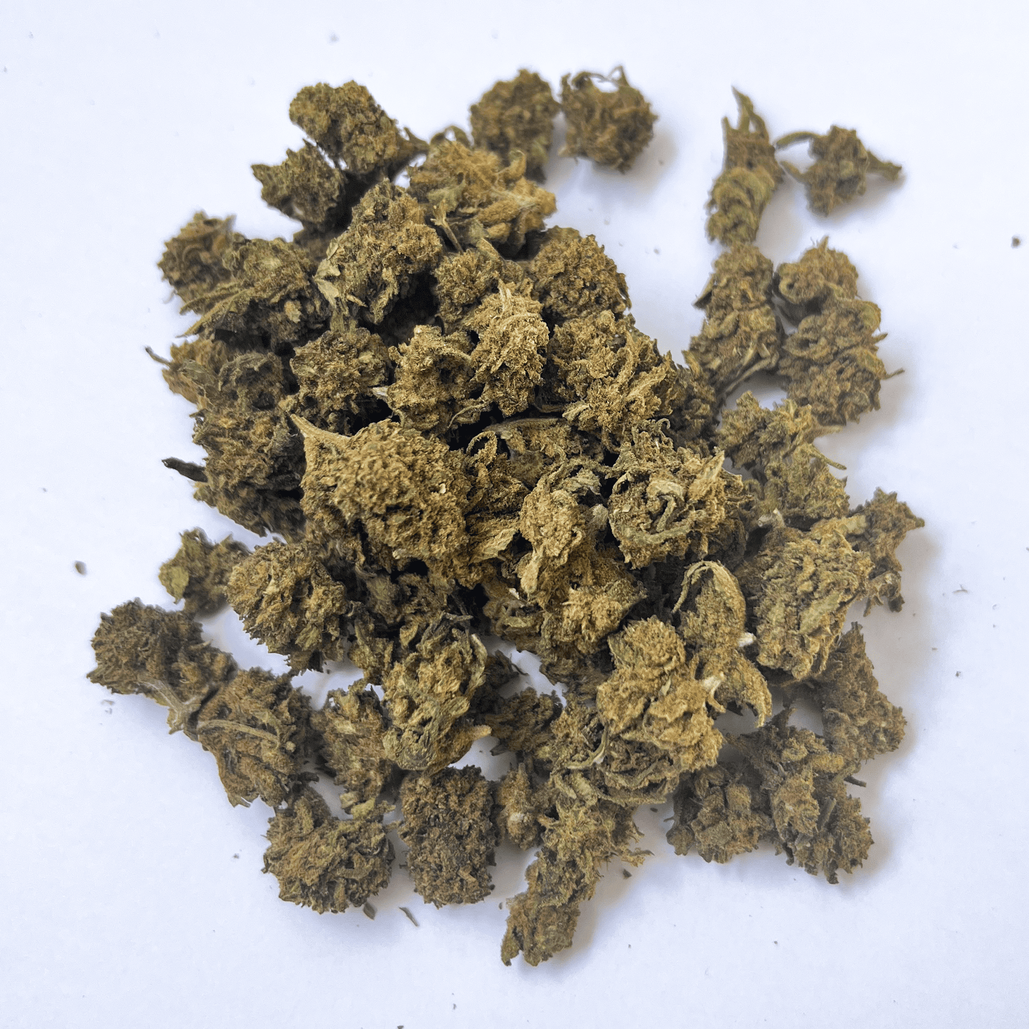 Köp Special Sauce CBD Buds 25% CBD i Sverige 🥇 Premium CBD Blommor ...